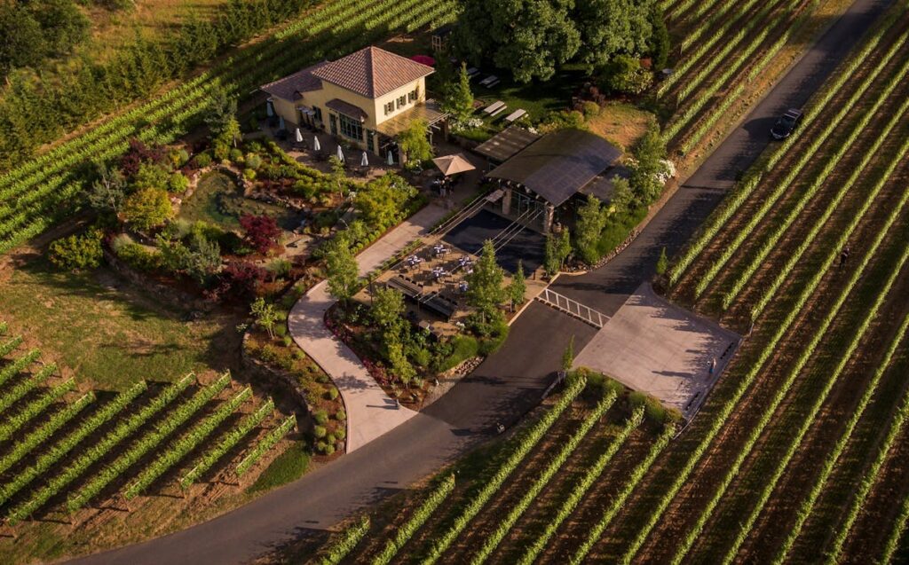 Home - DANCIN Vineyards